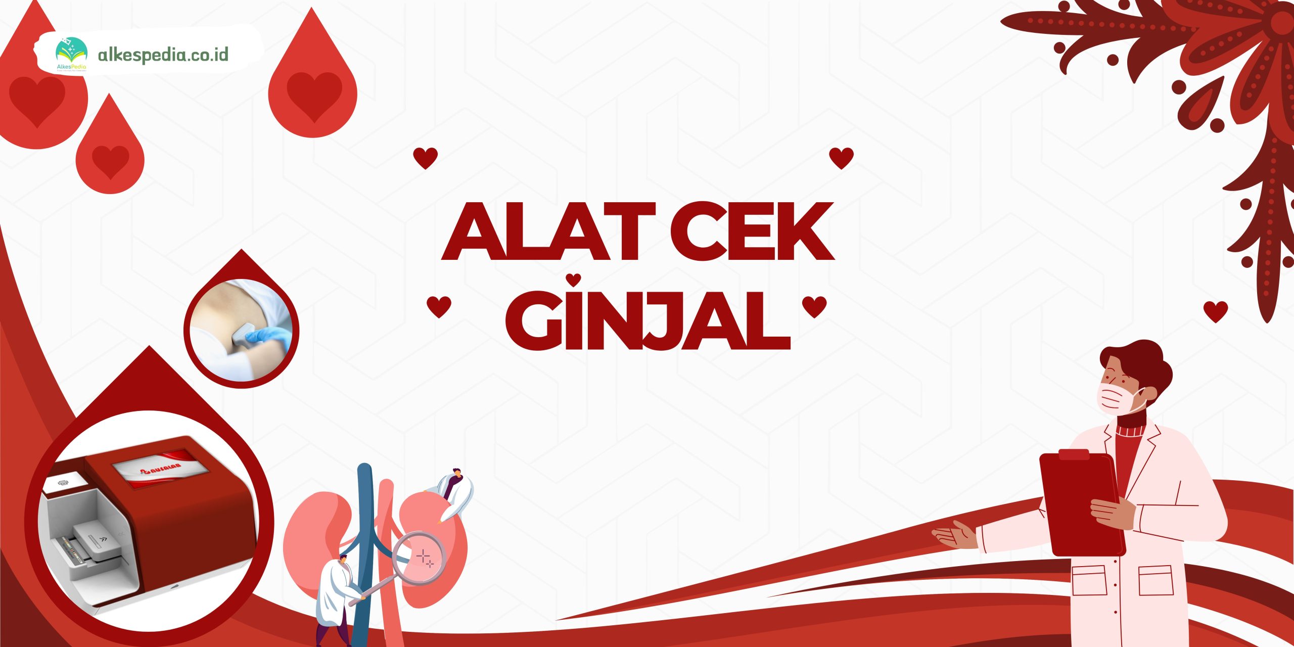 Kenali Berbagai Macam Alat Cek Ginjal - Alkespedia